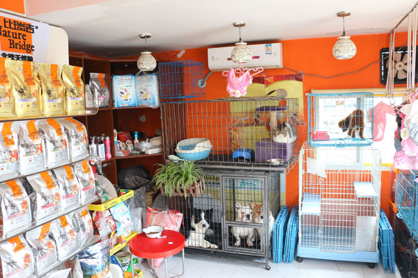 宠物店用品,懒人用品,婴儿用品店_大山谷图库